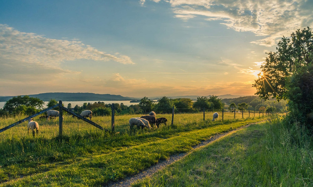 The 10 top ideas to make country life the good life - Checklists